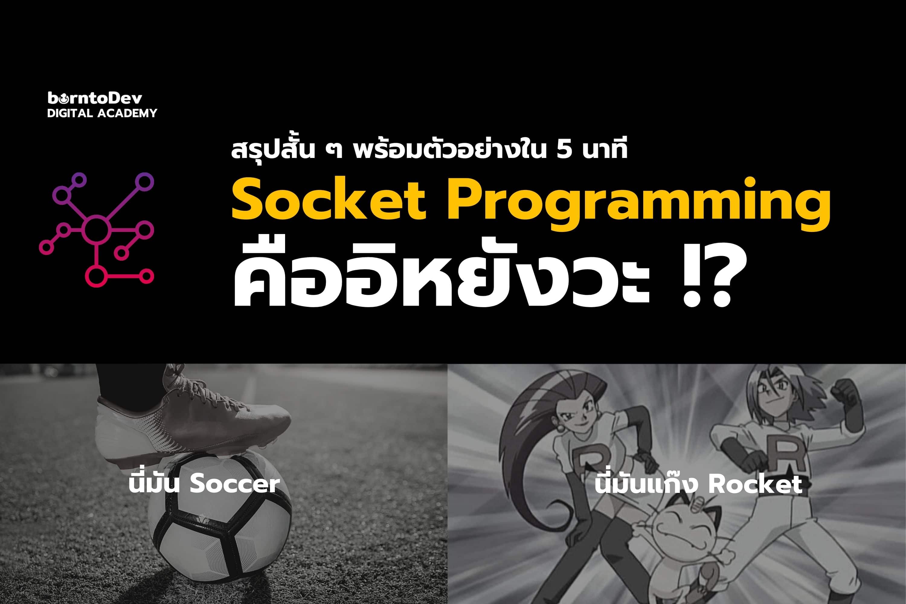 Socket Programming คืออะไรหว่า ? – BorntoDev เริ่มต้นเรียน เขียนโปรแกรม ขั้นเทพ