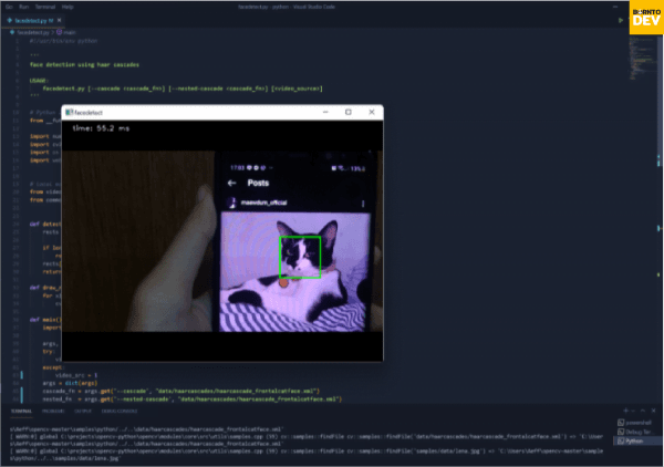 ตรวจจับใบหน้าน้องเหมียวด้วย OpenCV – BorntoDev เริ่มต้นเรียน เขียนโปรแกรม ขั้นเทพ