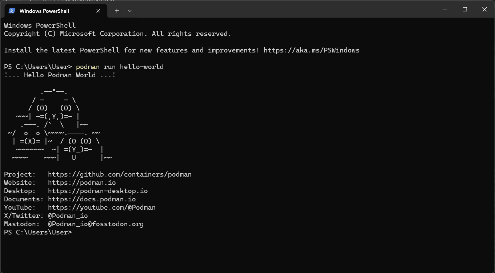 เปรียบเทียบการใช้งาน Docker และ Podman แบบหมัดต่อหมัด – BorntoDev ...