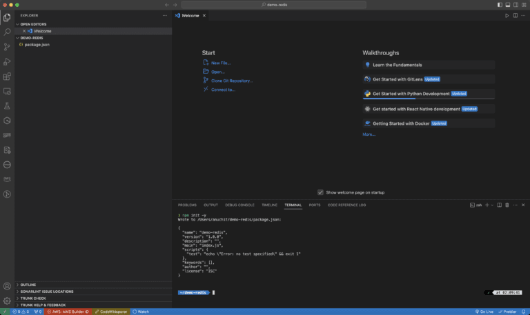 การทำ Caching ด้วย Redis บน Node.js – BorntoDev เริ่มต้นเรียน เขียนโปรแกรม ขั้นเทพ